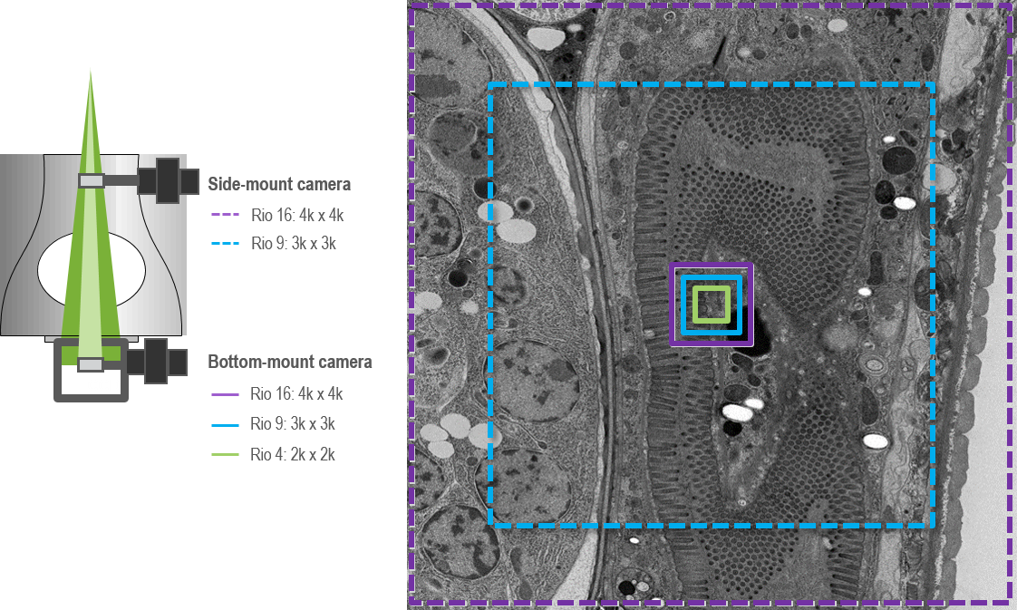 Choose the right FOV for your application | Gatan, Inc.